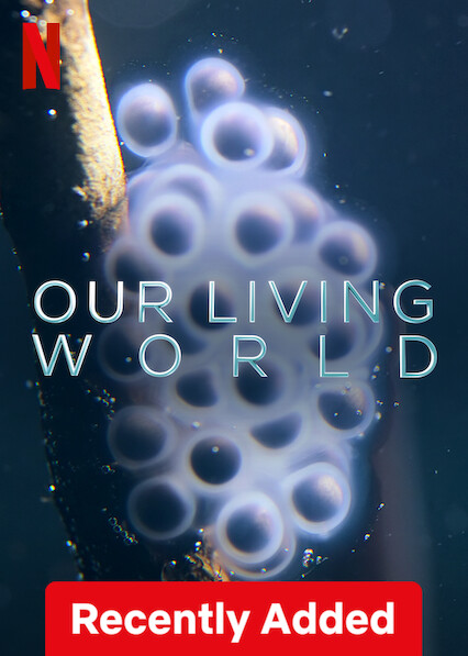 April 2024 kids' additions to Netflix UK - NewOnNetflixUK