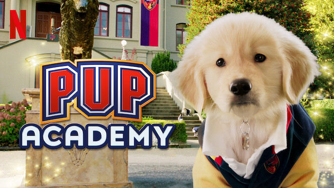 Pup Academy (2020) - Netflix | Flixable